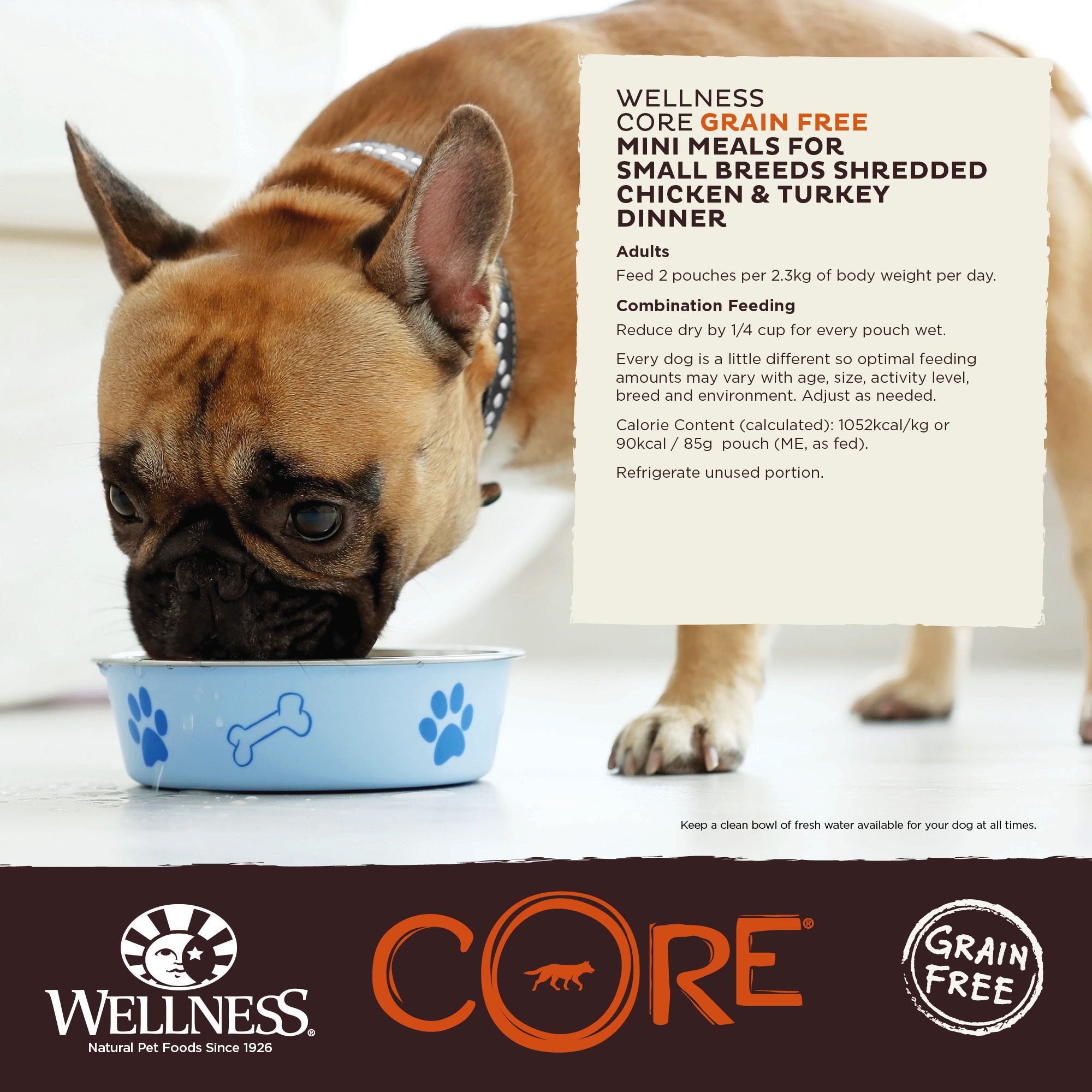 Wellness CORE Small Breed Mini Meals Shredded for Dogs: Chicken ...