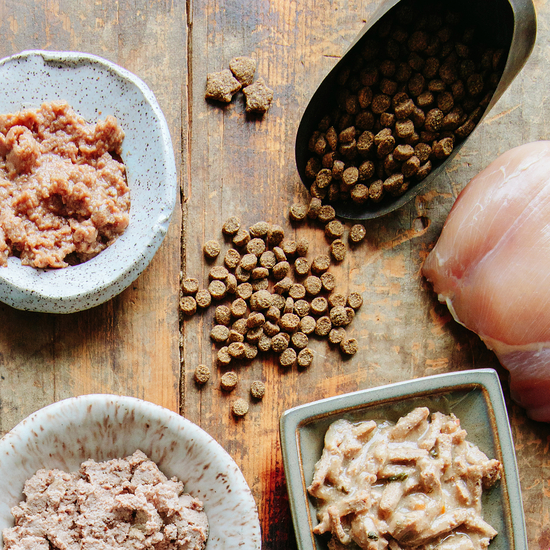 Wellness CORE Grain Free Indoor Cat Chicken Formula: Deboned Chicken ...