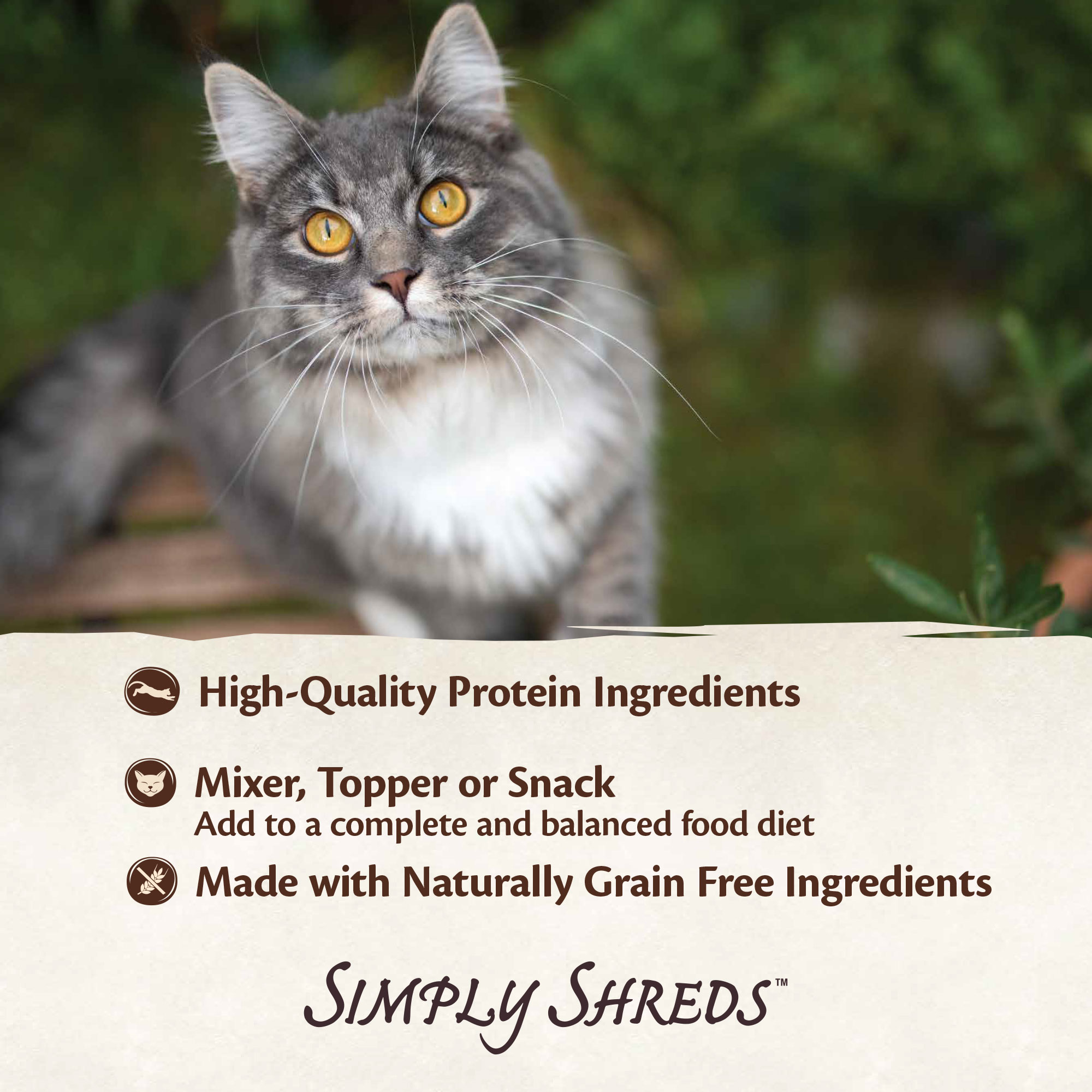 Wellness CORE Simply Shreds for Cats: Shredded Boneless Chicken Recipe ...