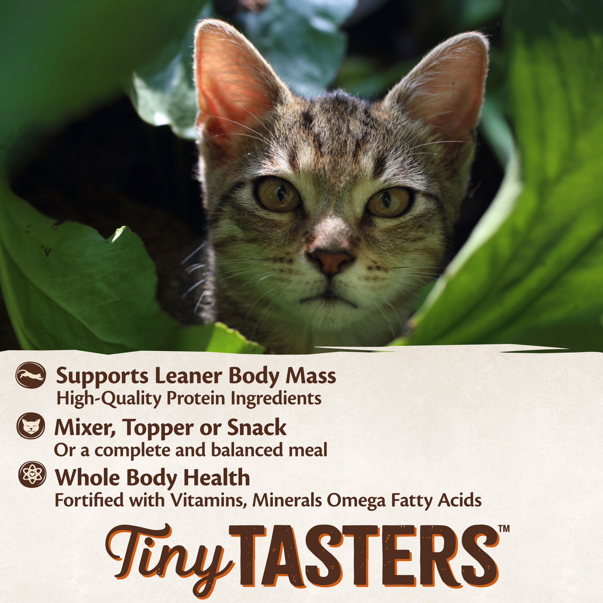 Wellness CORE Tiny Tasters for Cats: Smooth Pâté Tuna & Salmon Recipe ...