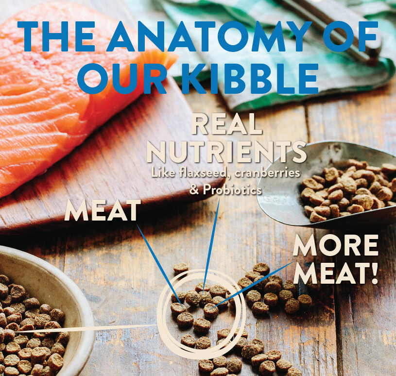 Wellness CORE Grain Free Indoor Cat Ocean Formula: Salmon & Herring ...