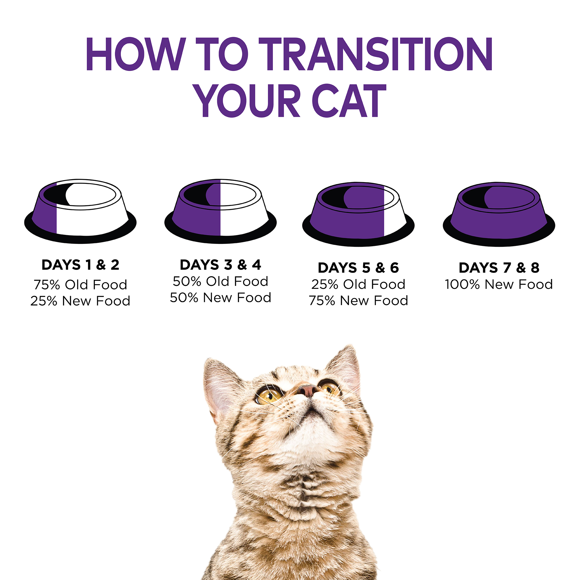 Wellness Healthy Indulgence Gravies For Cats With Bits Of Tuna
