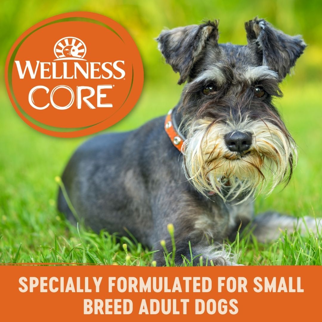 Wellness CORE Grain Free Small Breed Formula for Dogs: Deboned Turkey ...