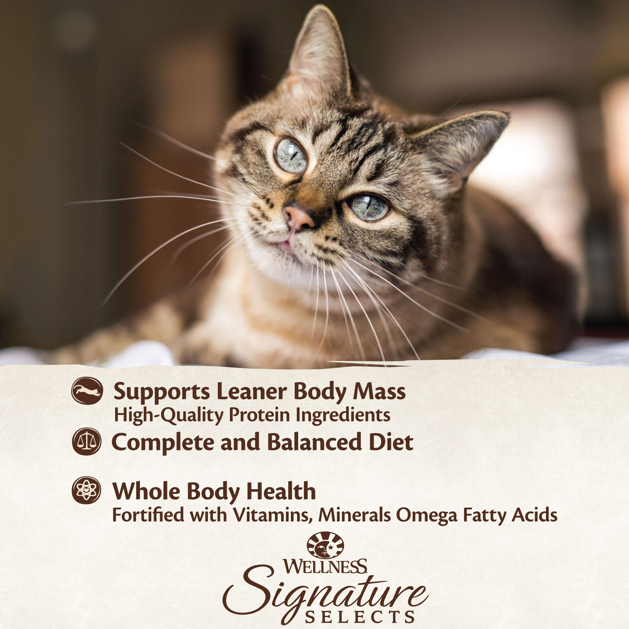 Wellness CORE Signature Selects for Cats: Indoor Boneless Chicken ...