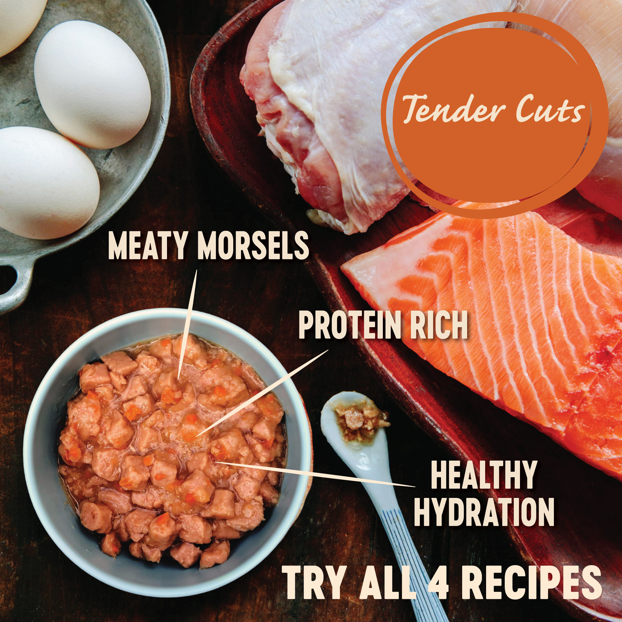 Wellness CORE Tender Cuts for Cats: With Chicken & Salmon in Savoury ...